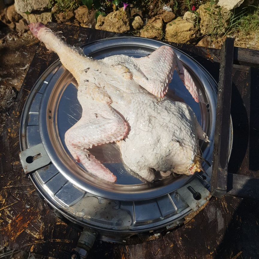 Перосъёмочная машина, шпар чан