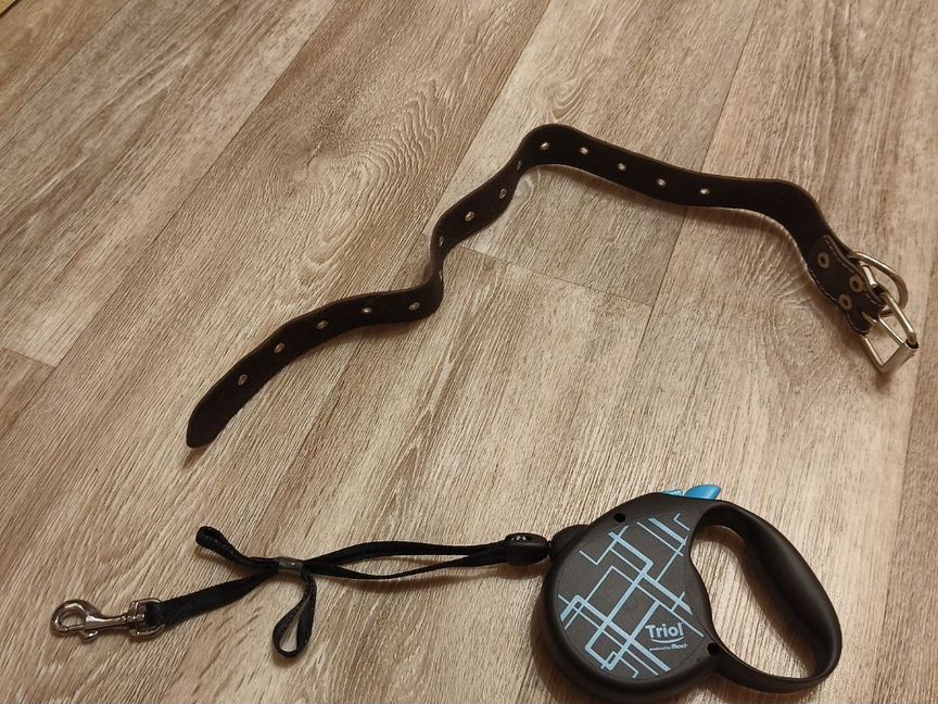 Поводок рулетка для собак до 25 кг