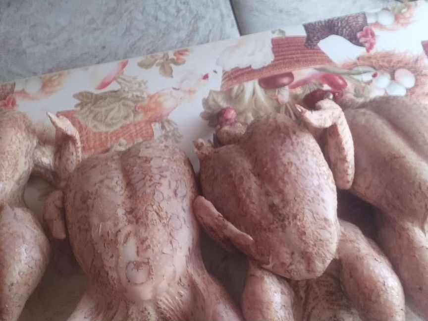 Куры бройлерные, домашние