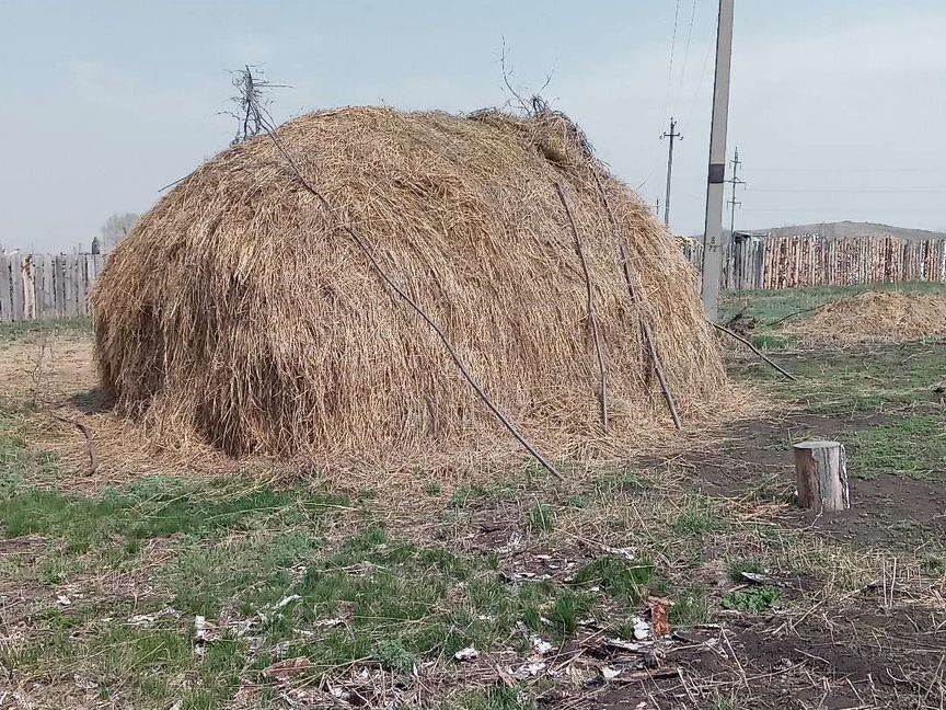 Сено