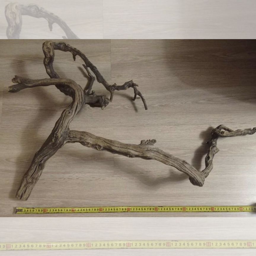 Коряги для террариума