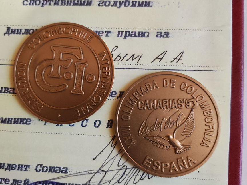 Голуби