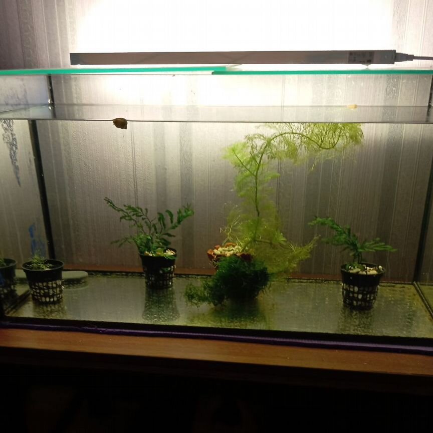 Аквариум 80л