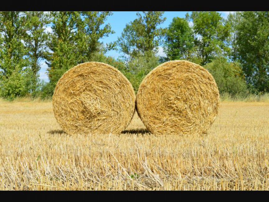 Солома в рулонах