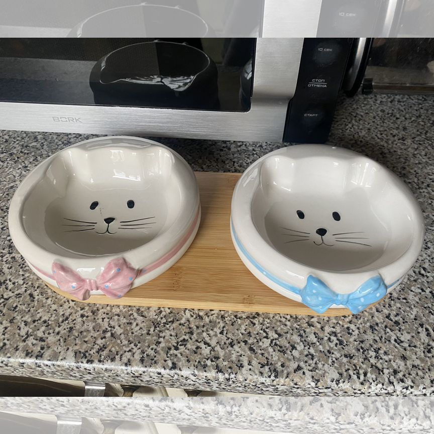 Керамические миски для кошек