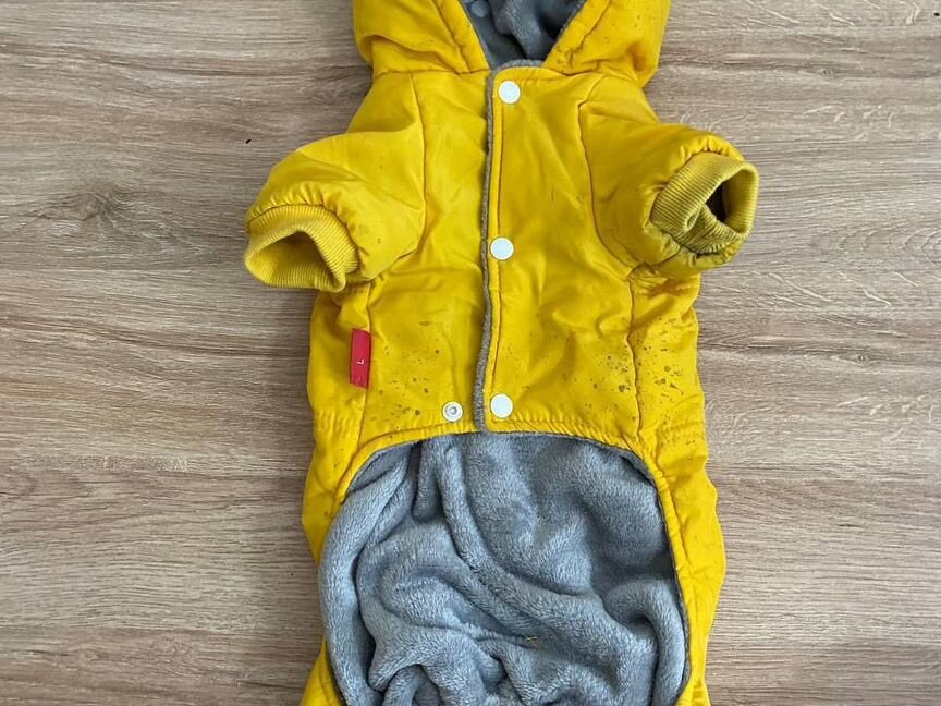 Одежда для маленьких собак