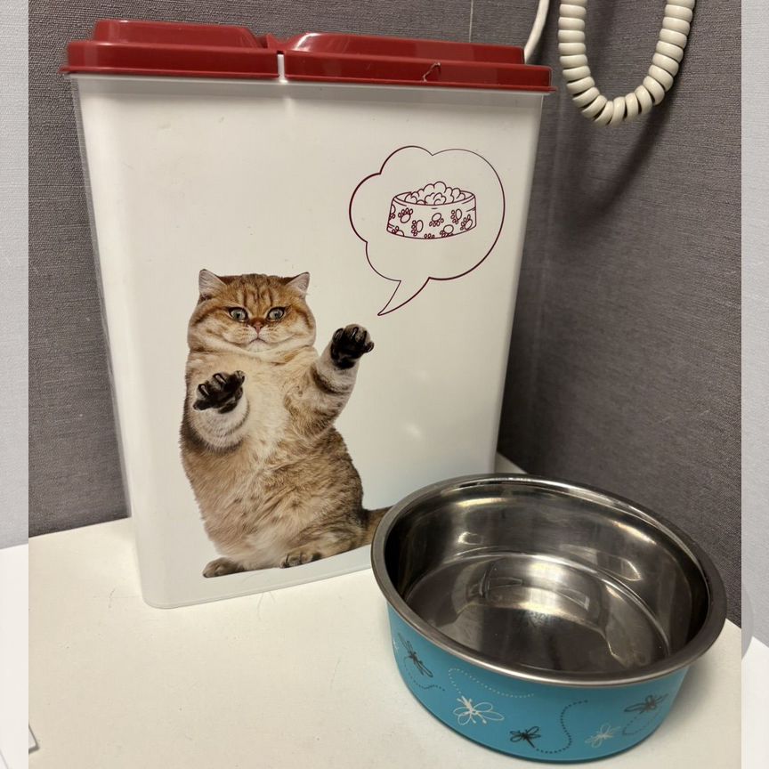 Набор для кормления кошек (миска контейнер)