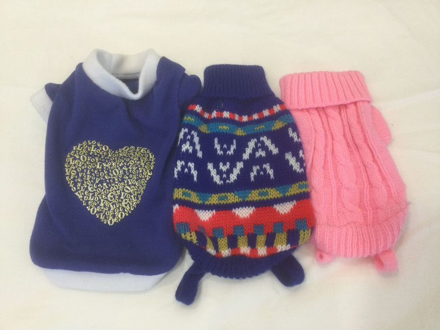 Одежда для мелких пород