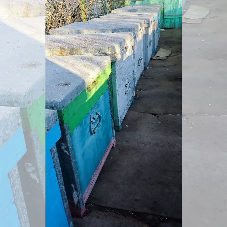 Улики для пчел