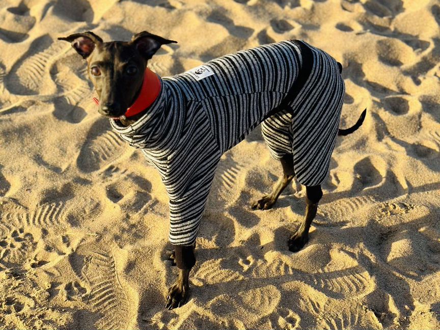 Комбинезон для левретки /на левретку