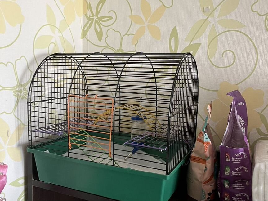 Полный набор; Клетка для грызунов, корм и тд
