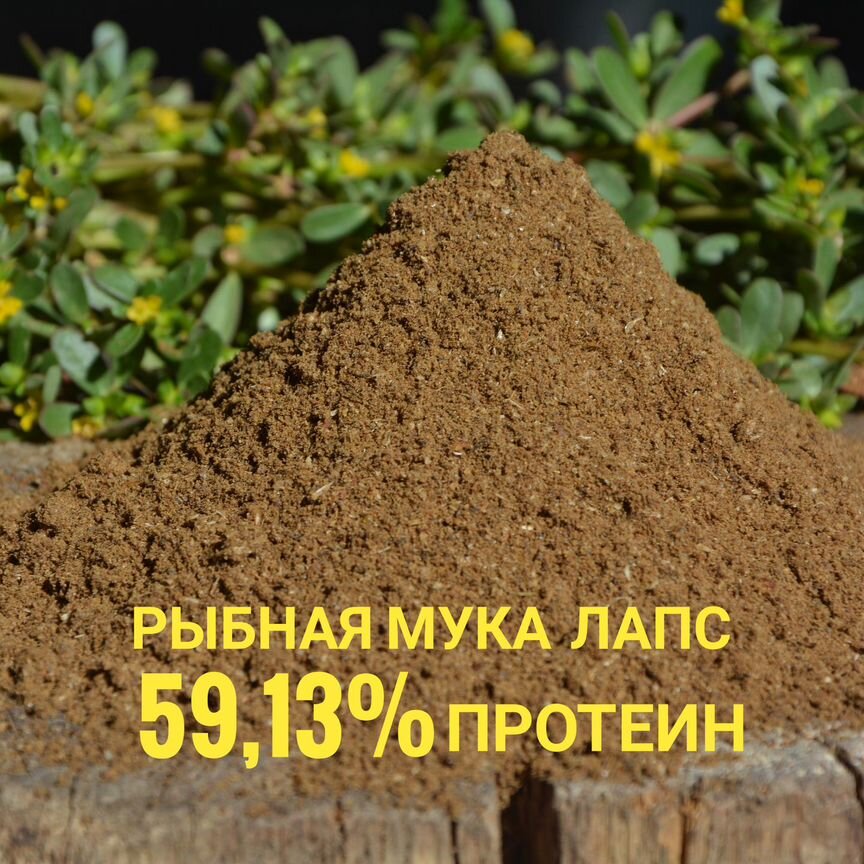 Рыбная мука Лапс 59.13%