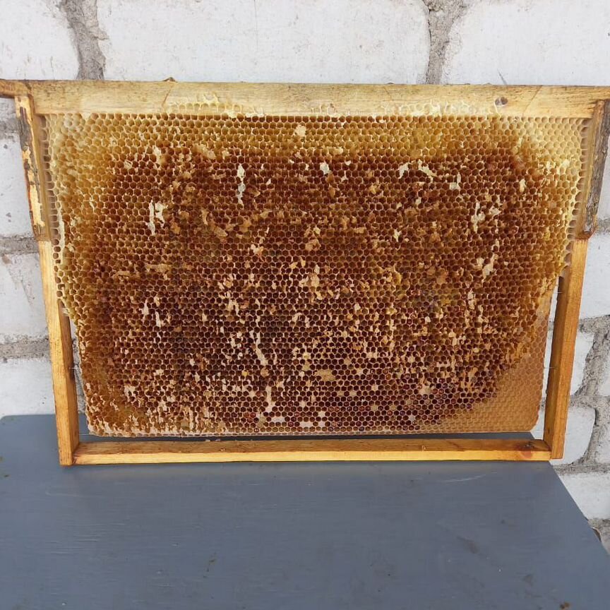 Сушь пчелиная