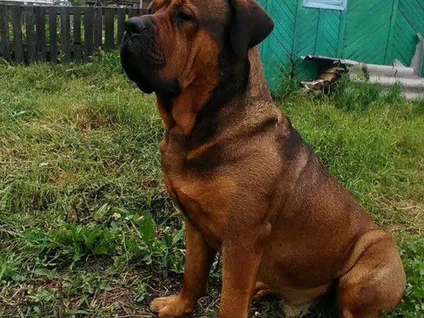 Бурбуль для вязки