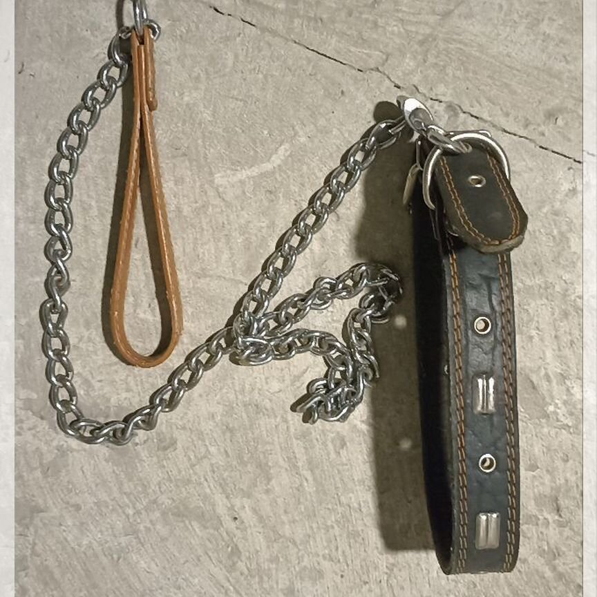 Ошейник с поводком