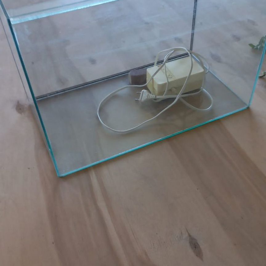 Аквариум, террариум