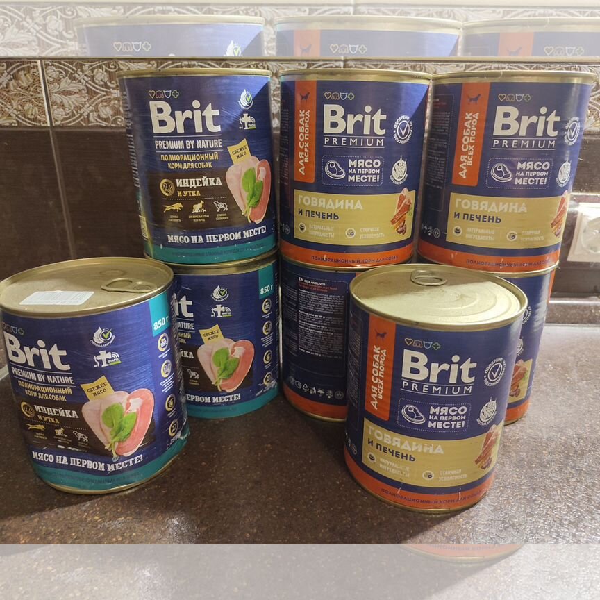 Корм для собак влажный Brit