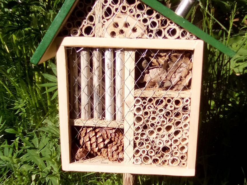 Домик для разведения божьих коровок тип А22