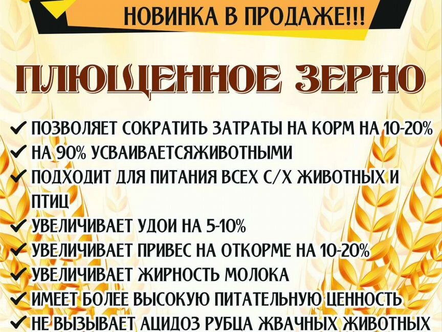 Зерно плющенное