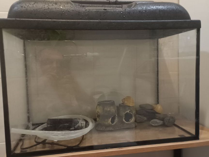 Набор для рыбок