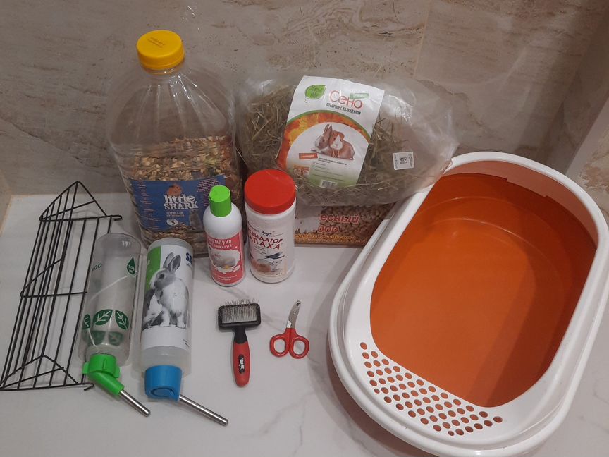 Товары для декоративных кроликов