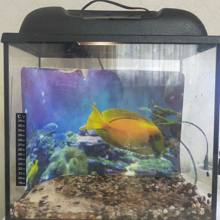 Аквариум 30 литров