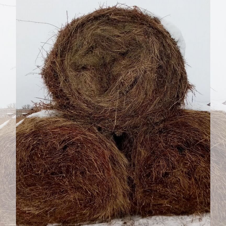 Продам сено и солому