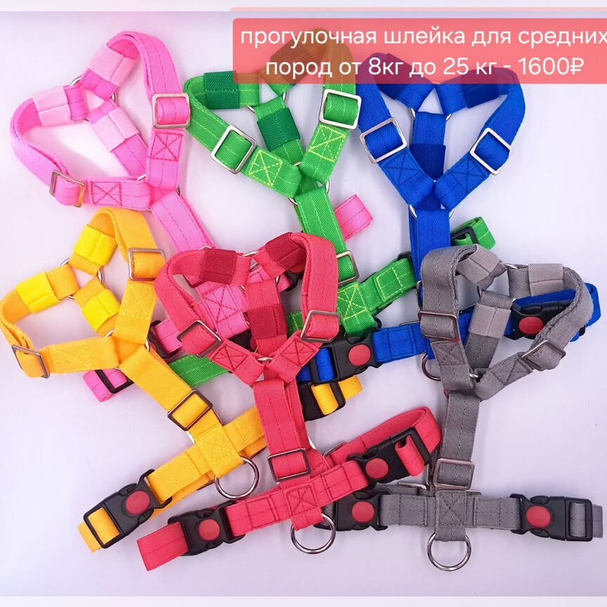 Амуниция для собак