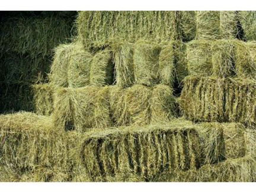 Сено в тюках