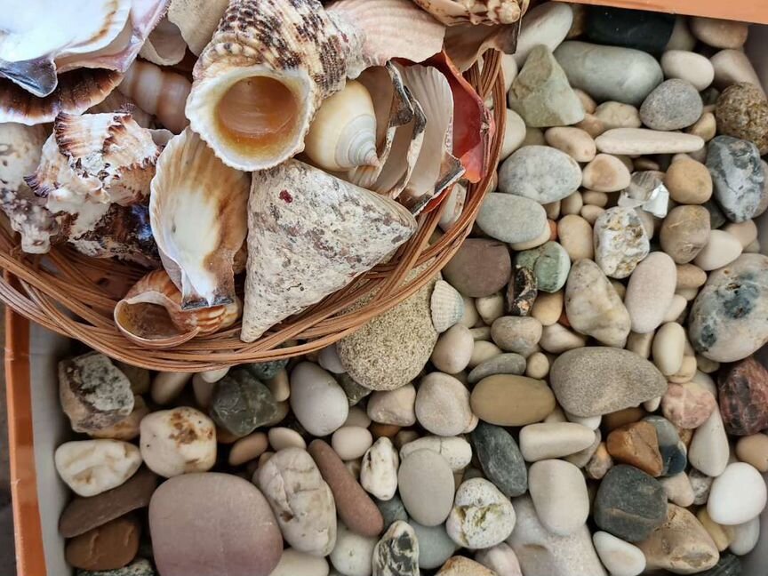 Ракушки и морские камни