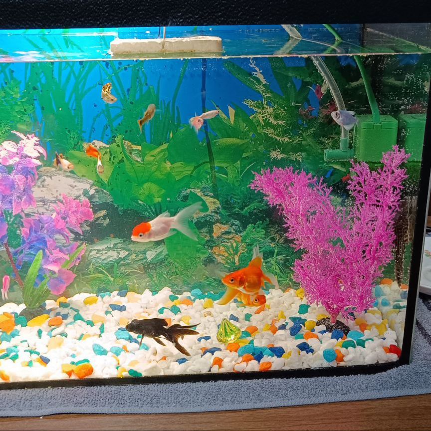 Продам аквариум новый 20л