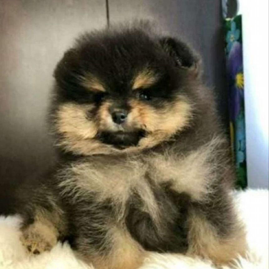 Кроватные мишутки