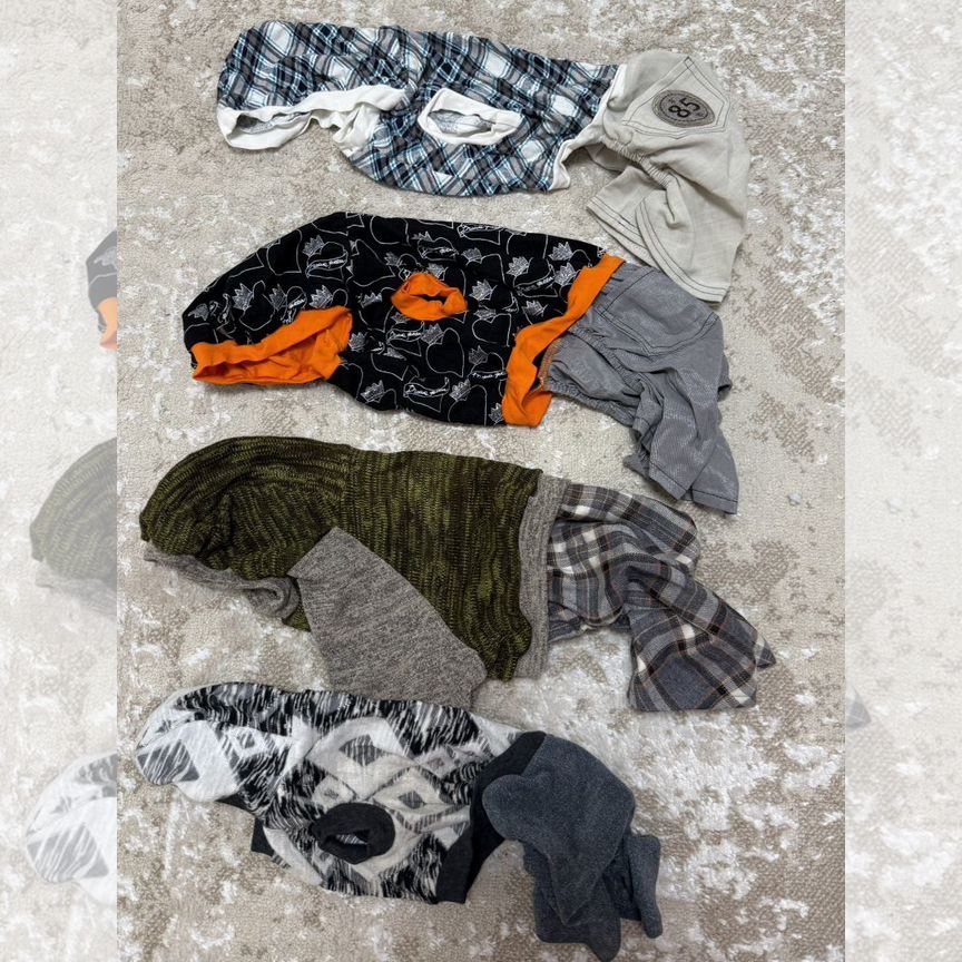 Одежда для собак