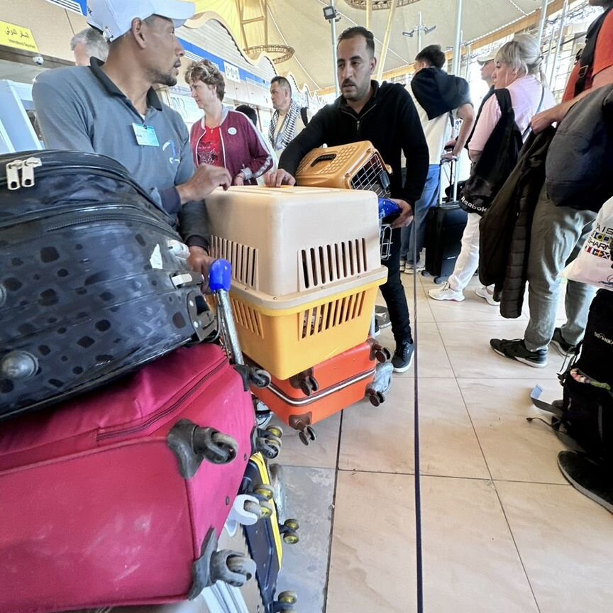 Переноска (бокс) для средней или крупной собаки