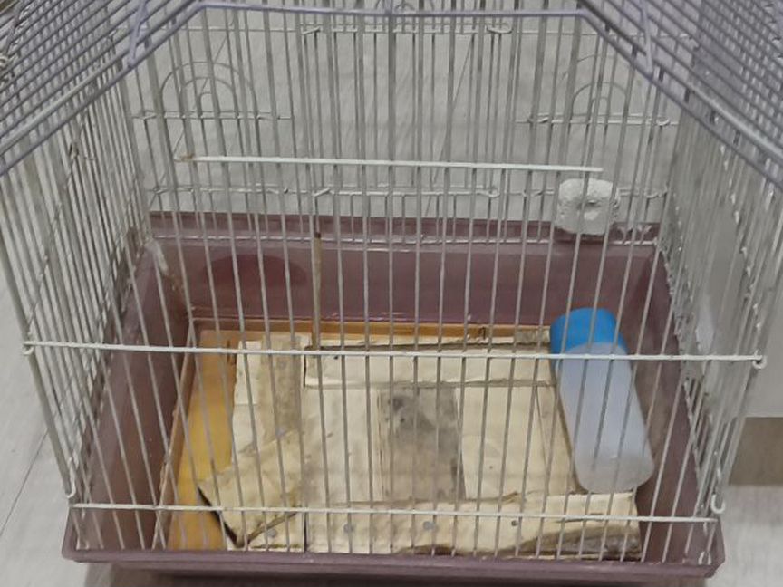 Клетка для хомяка