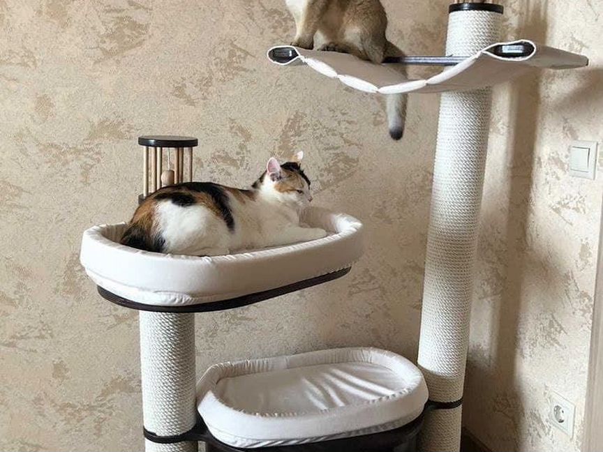 Когтеточка для кошек