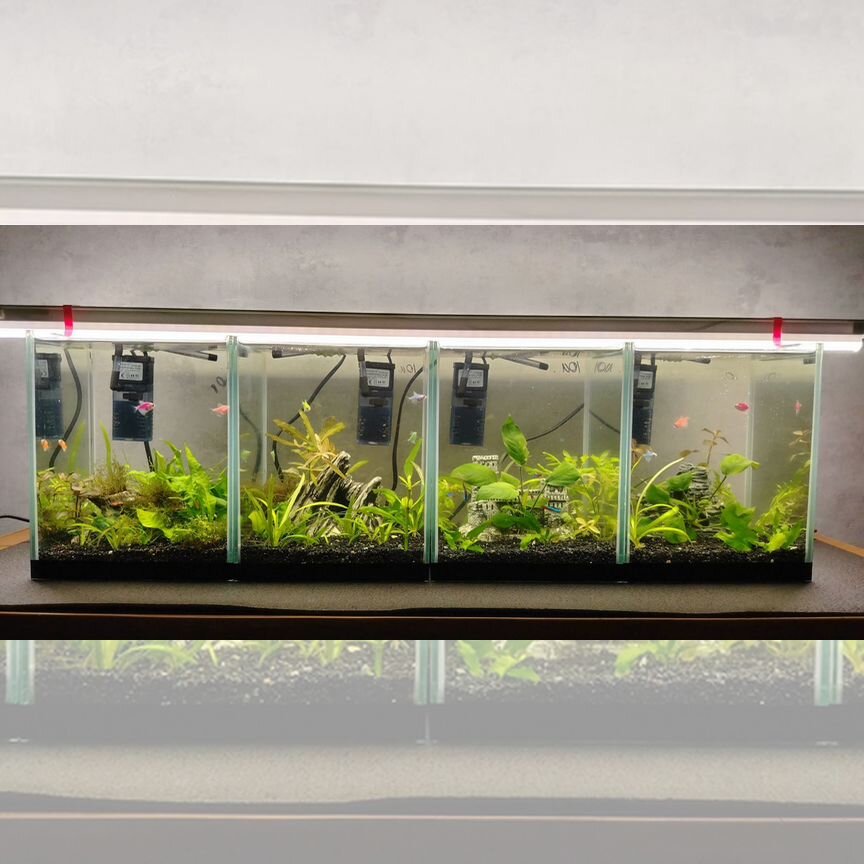 Аквариум "Нано-куб"