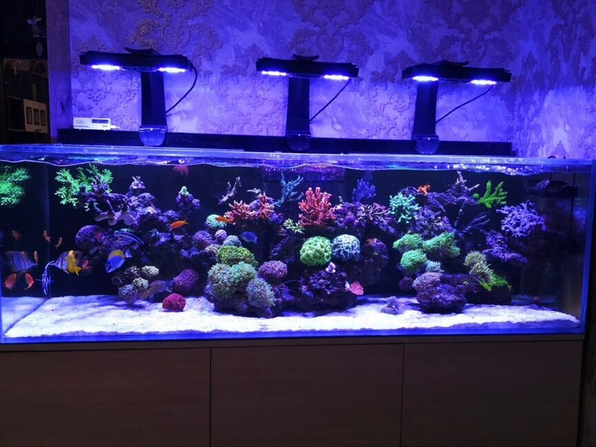 Морской аквариум комплект