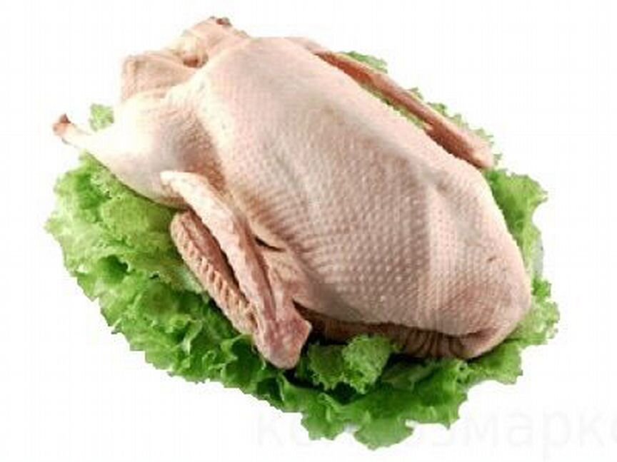 Утки муларды мясная порода