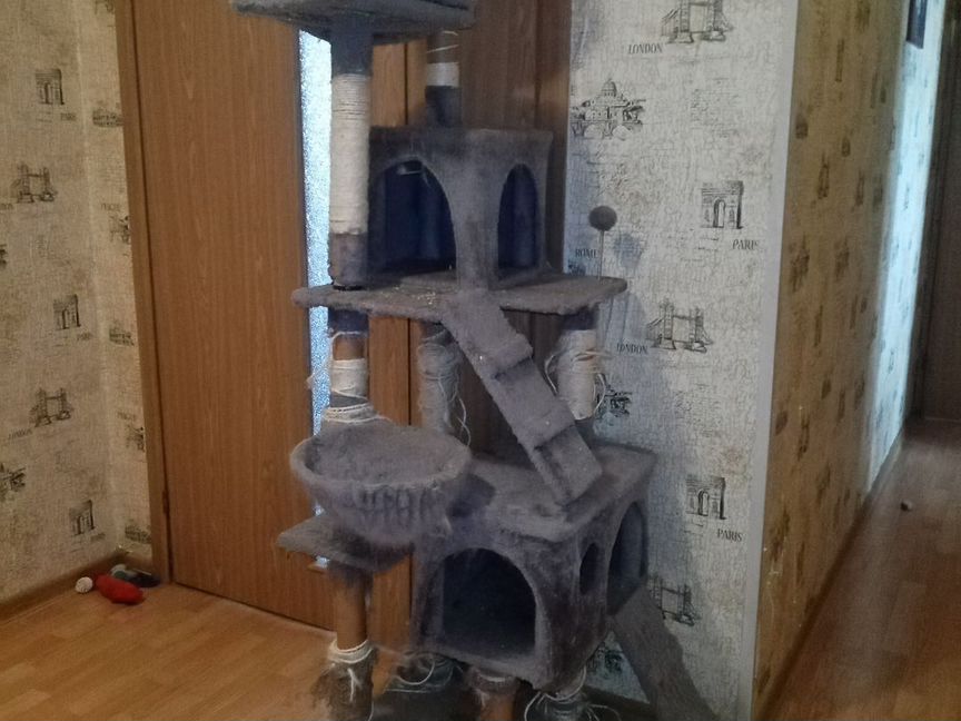 Когтеточка