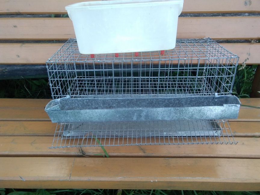 Клетка, поилка для перепелок