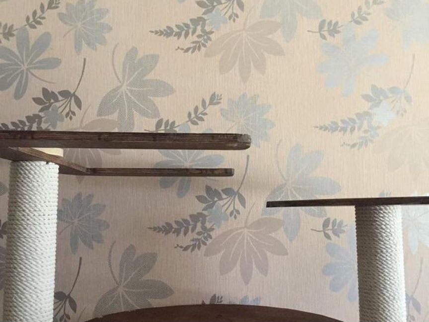 Когтеточка эко в хорошем состоянии