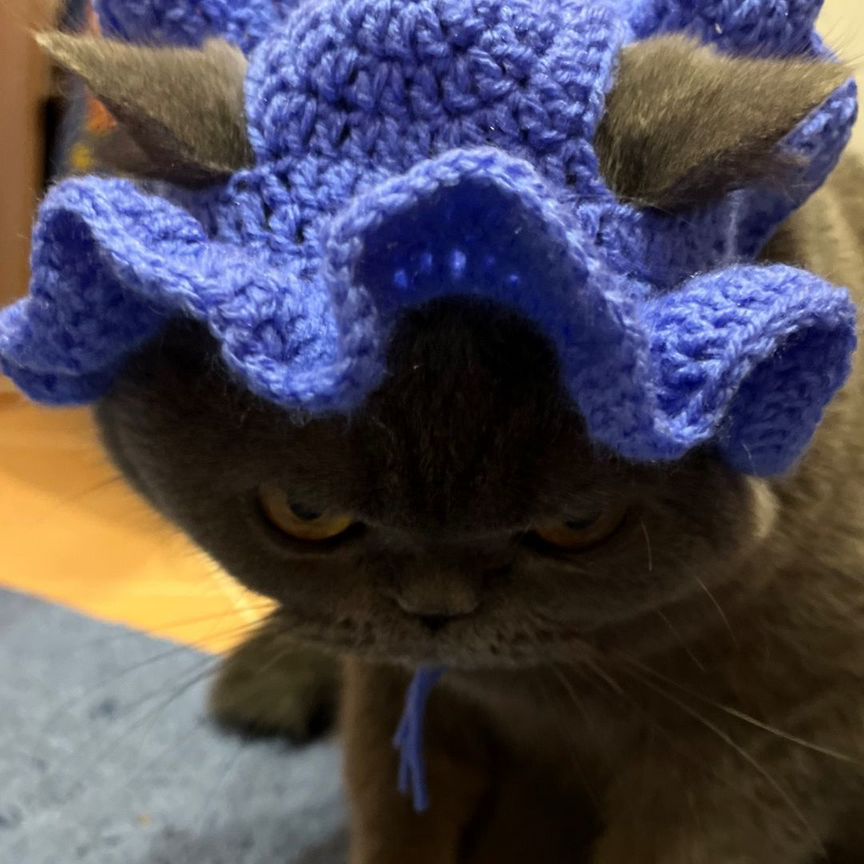 Панамка для кошечки