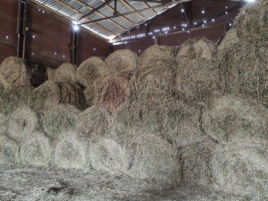 Сено в рулонах
