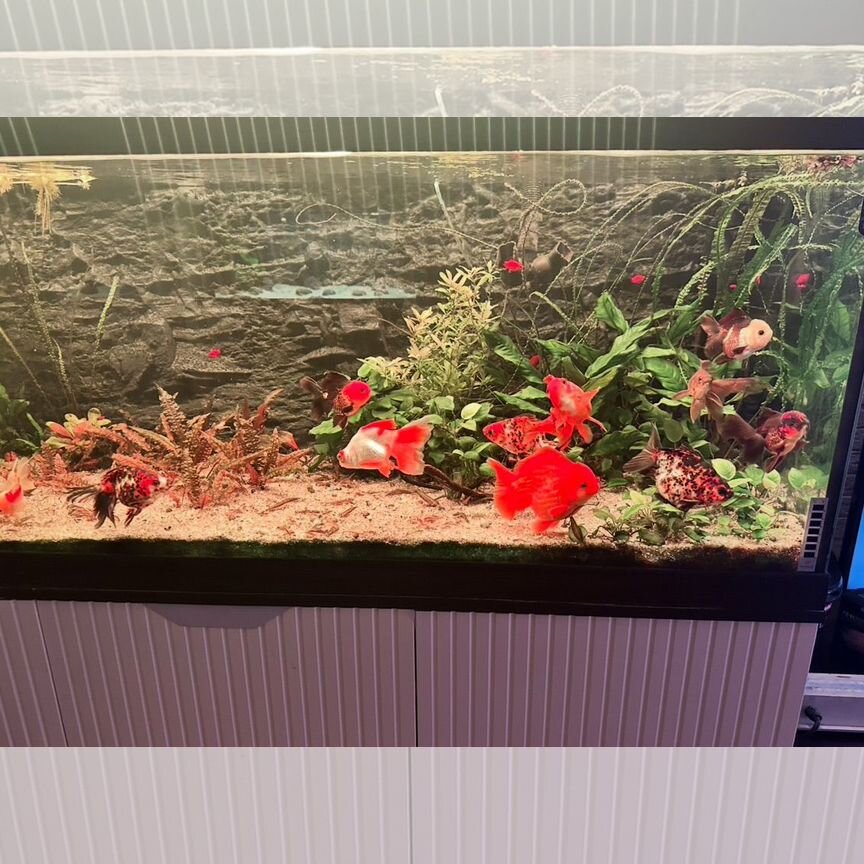 Wrgb светильник seaoura FG199- 90см