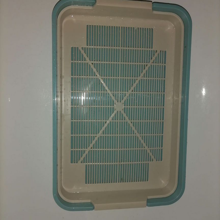 Лоток для кошек