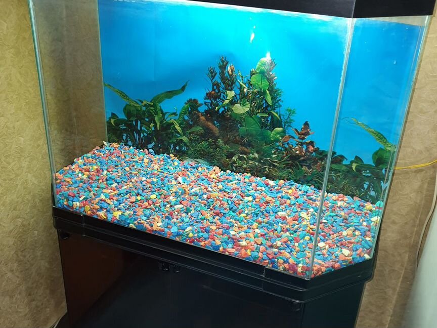 Аквариум с тумбой