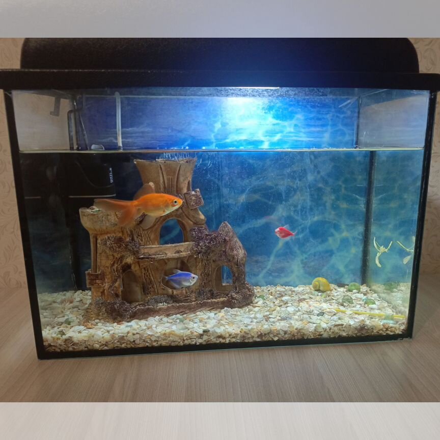 Аквариум 30 литров рыбками