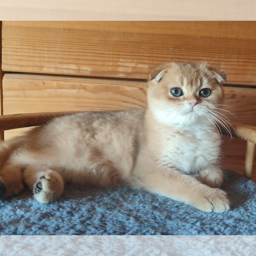 Маленький кабачок