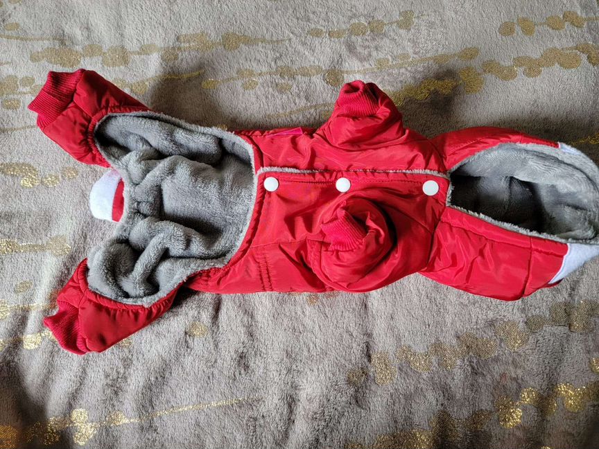 Костюм красный для маленьких собак
